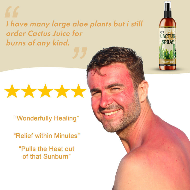 CACTUS JUICE - OFFICIAL SITE – Cactus Juice